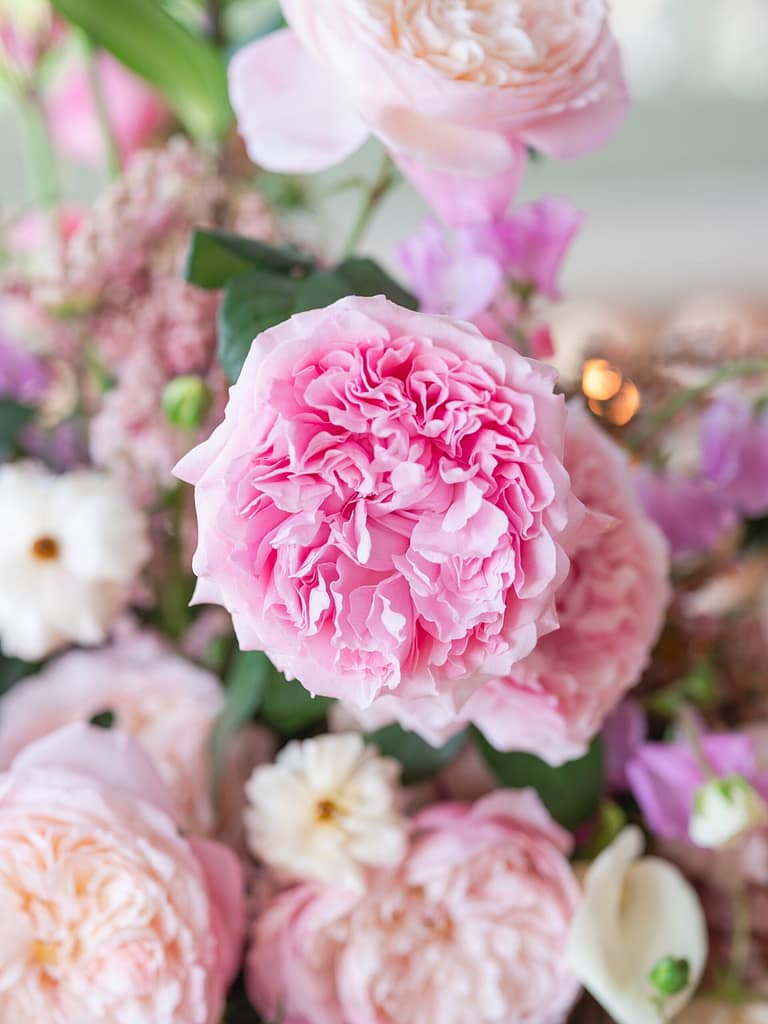 Wedding and Event Roses - David Austin Wedding and Event Roses