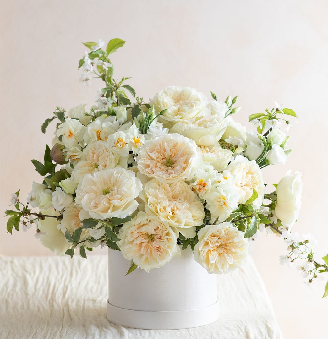 Enid - David Austin Wedding and Event Roses