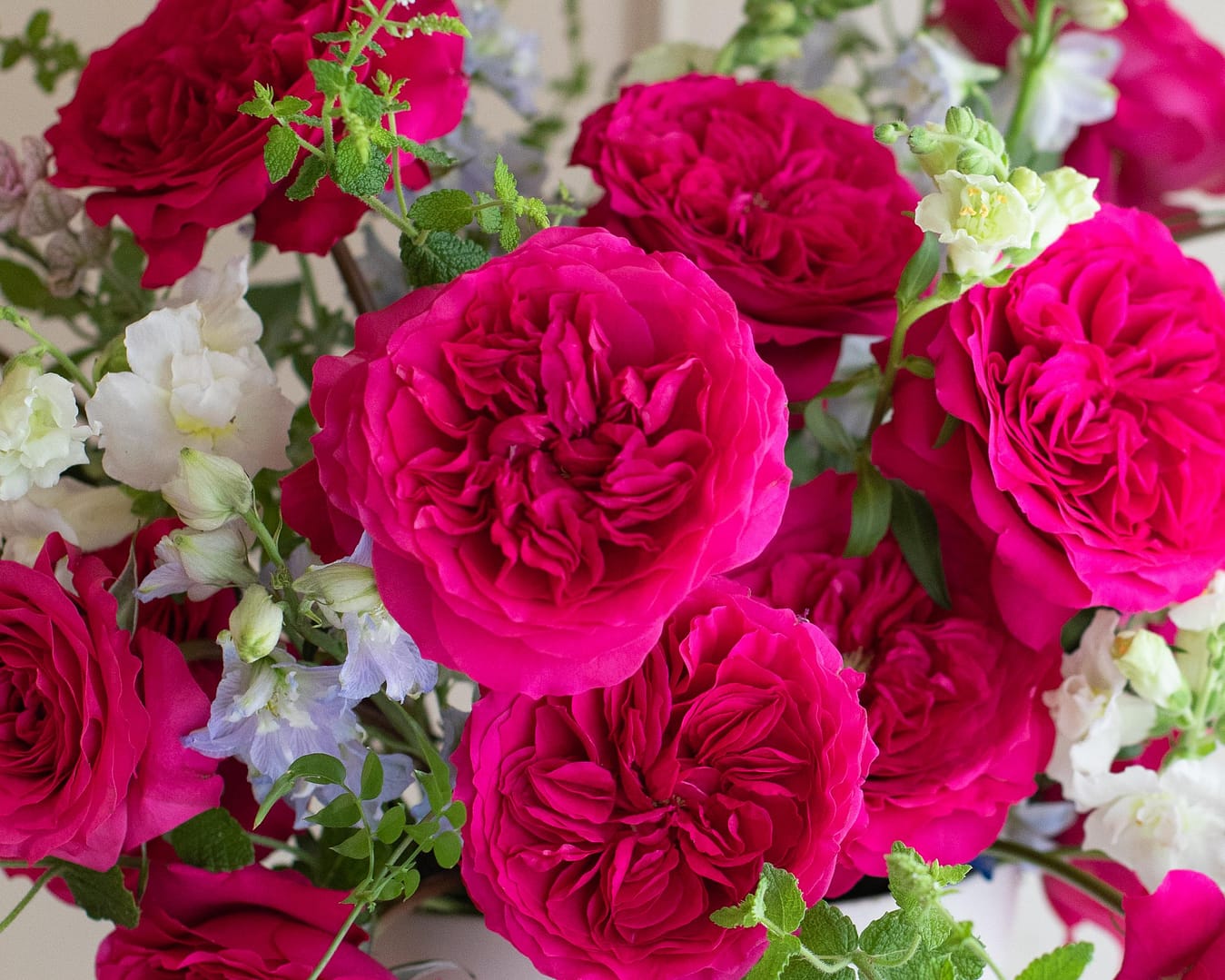 Blog - David Austin Wedding and Event Roses