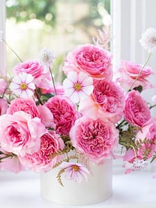 New Wedding Roses - David Austin Wedding and Event Roses