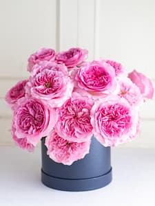 A Floral Introduction - Millicent - David Austin Wedding and Event Roses