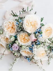 The Ultimate Guide to White Wedding Roses - David Austin Wedding and ...
