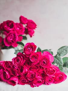 The Ultimate Guide to Pink Wedding Roses - David Austin Wedding and ...