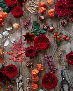 Red Roses for an Autumnal Banquet Table - David Austin Wedding and ...