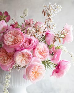 Fragrant Roses - Your Guide - David Austin Wedding and Event Roses