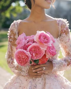 Fragrant Roses - Your Guide - David Austin Wedding and Event Roses