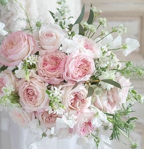 Keira - David Austin Wedding and Event Roses