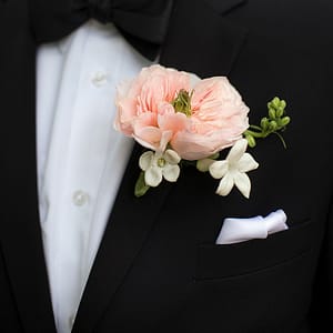 Charity - David Austin Wedding and Event Roses