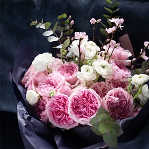 Miranda - David Austin Wedding and Event Roses