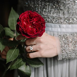 Tess - David Austin Wedding and Event Roses