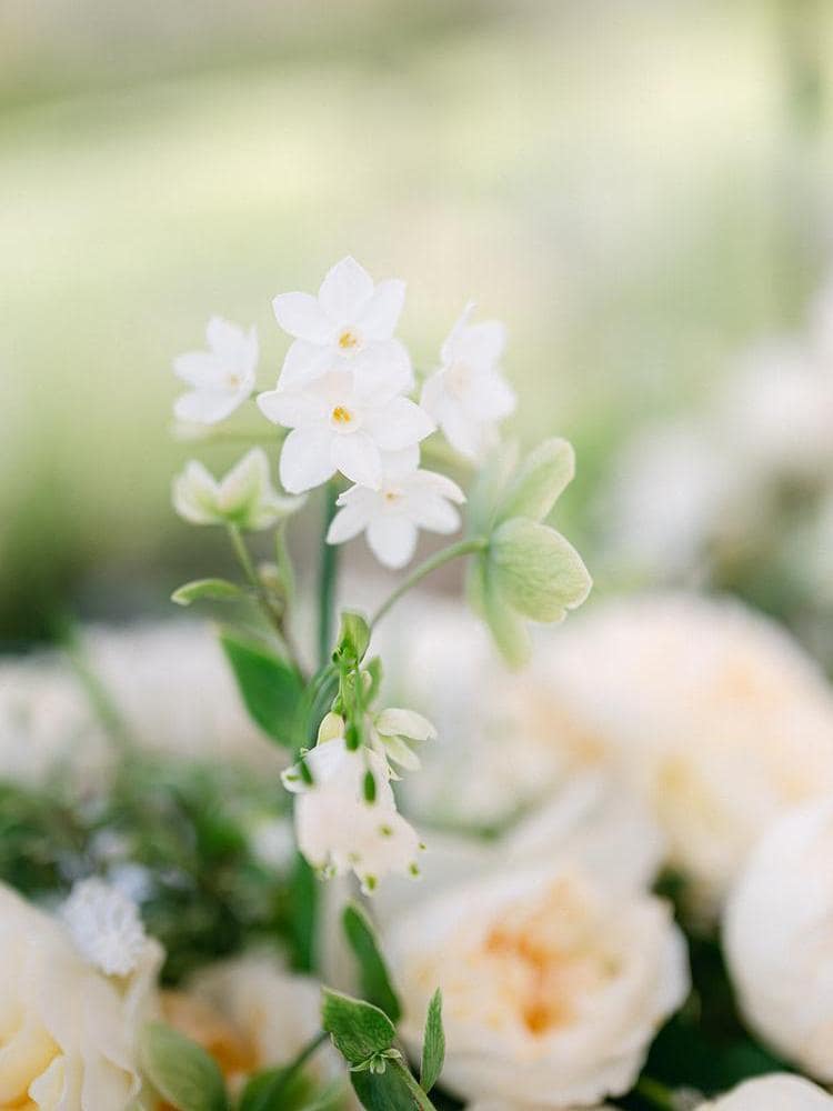 Modern Wedding Table Styling with David Austin Wedding Roses in Provence