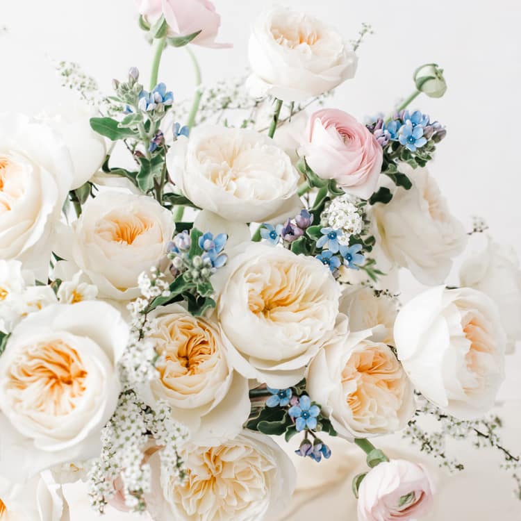 Bessie - David Austin Wedding and Event Roses