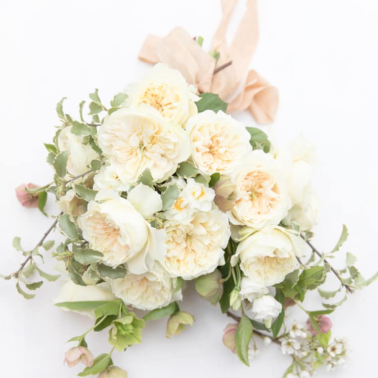Enid - David Austin Wedding and Event Roses
