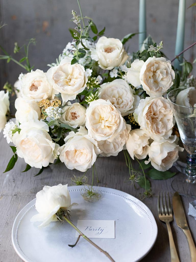 The Ultimate Guide to White Wedding Roses - David Austin Wedding and ...