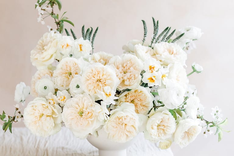 Enid - David Austin Wedding and Event Roses