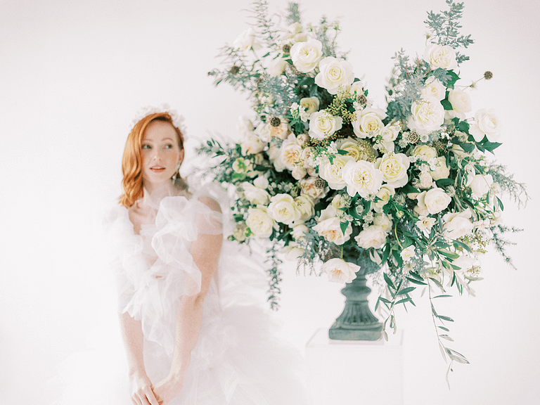 Purity Rose - David Austin Wedding and Event Roses