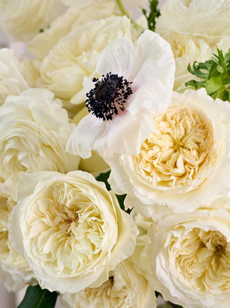 Introducing David Austin Rose Bouquets
