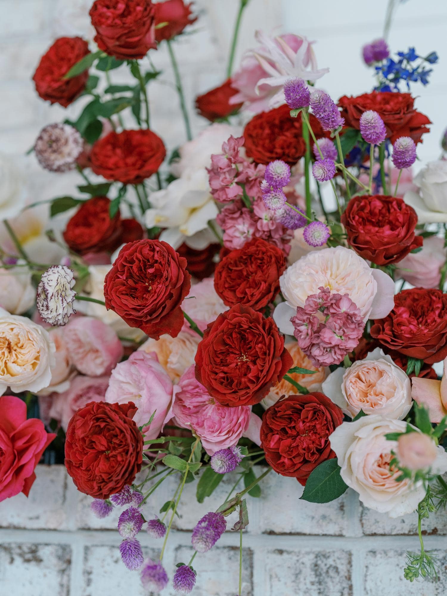 Tess, The Ultimate Red Rose - David Austin Wedding and Event Roses