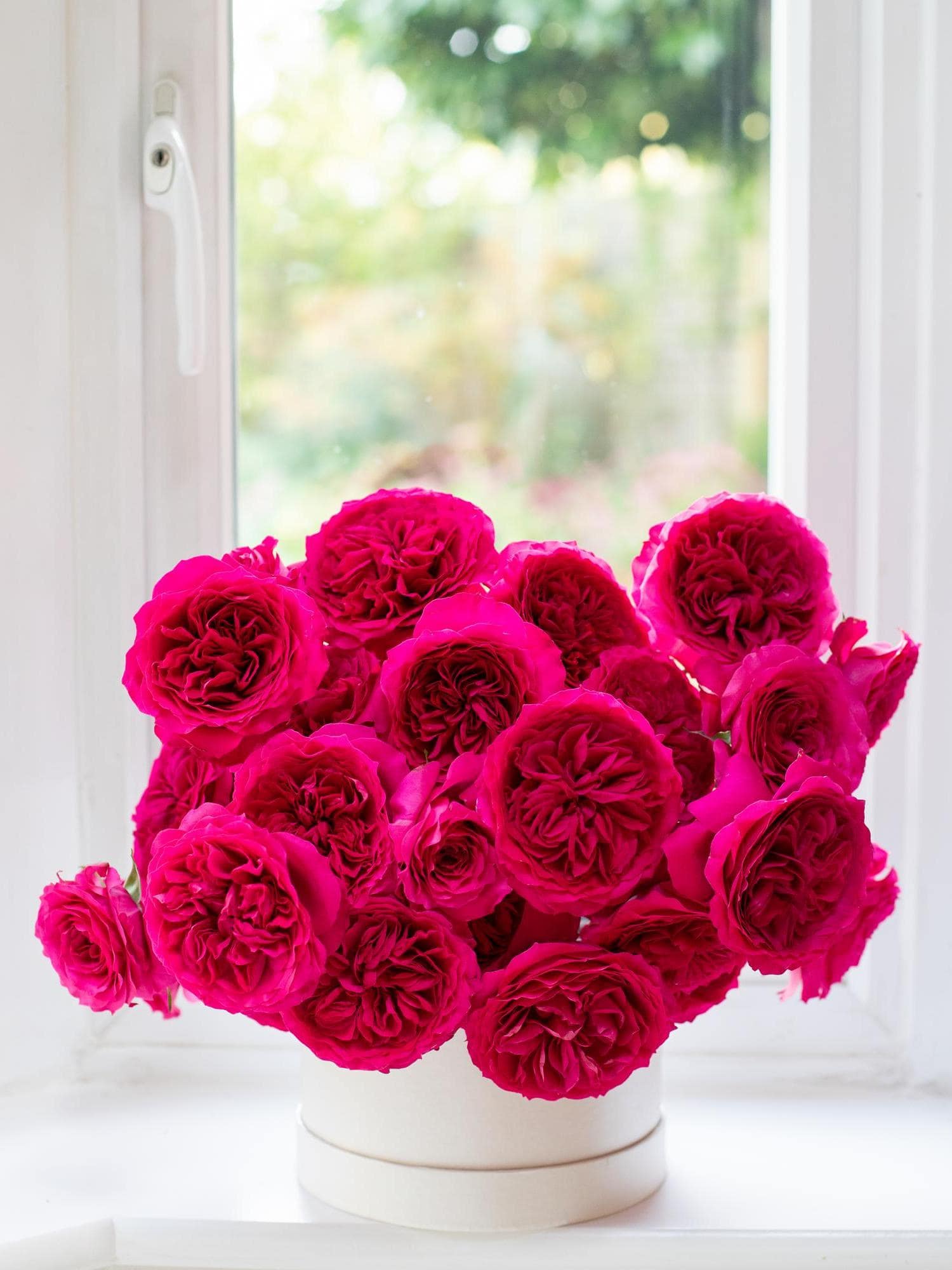 New Wedding Roses - David Austin Wedding and Event Roses