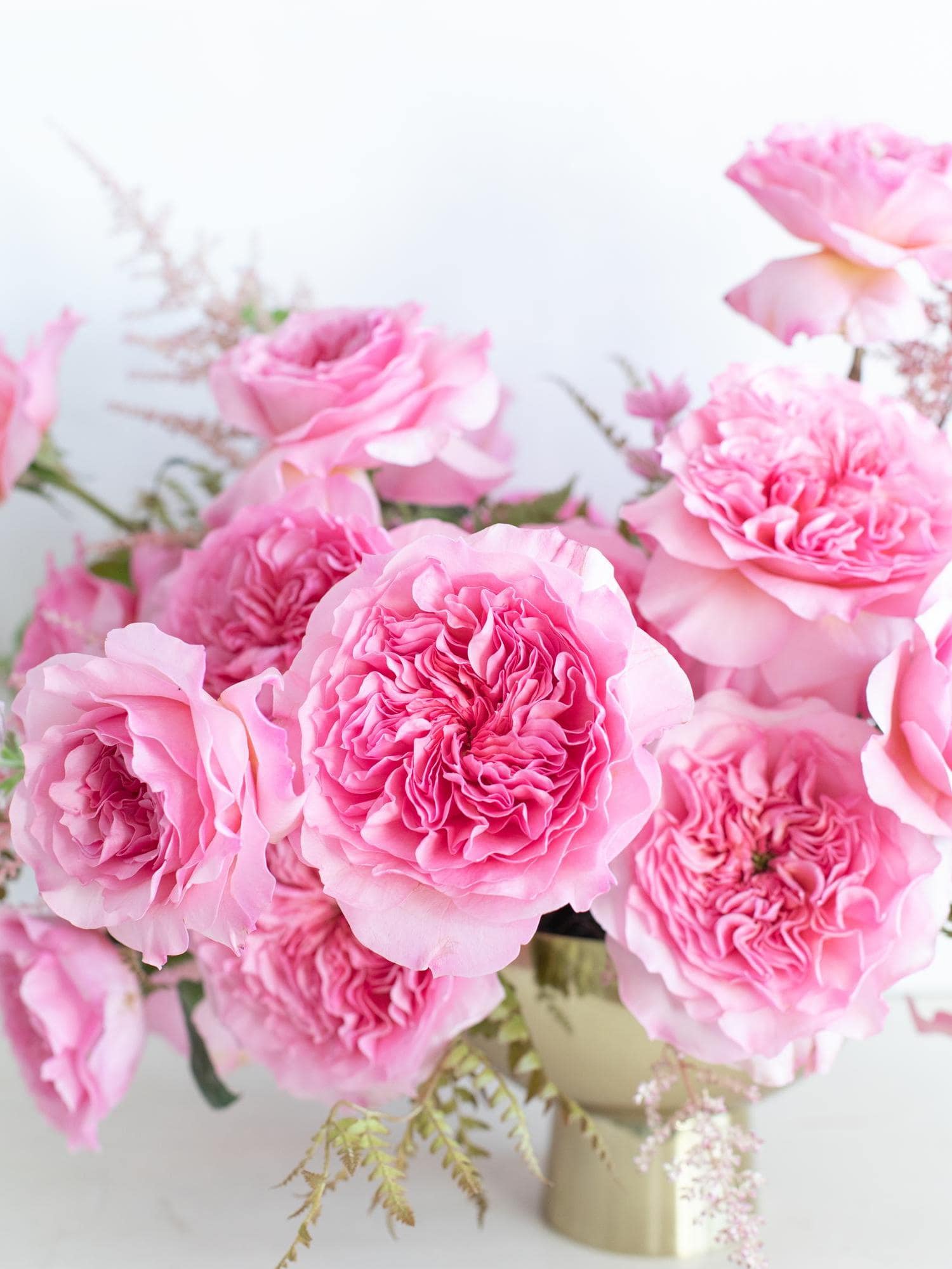 A Floral Introduction - Millicent - David Austin Wedding and Event Roses