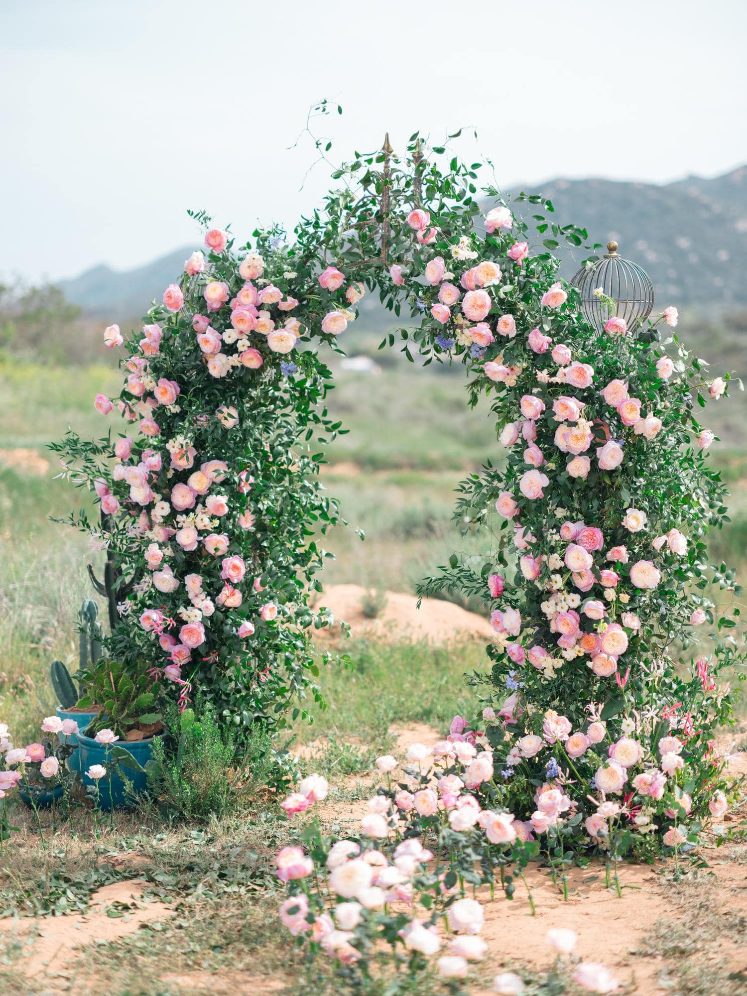 How Many Roses Do I Need? - David Austin Wedding and Event Roses