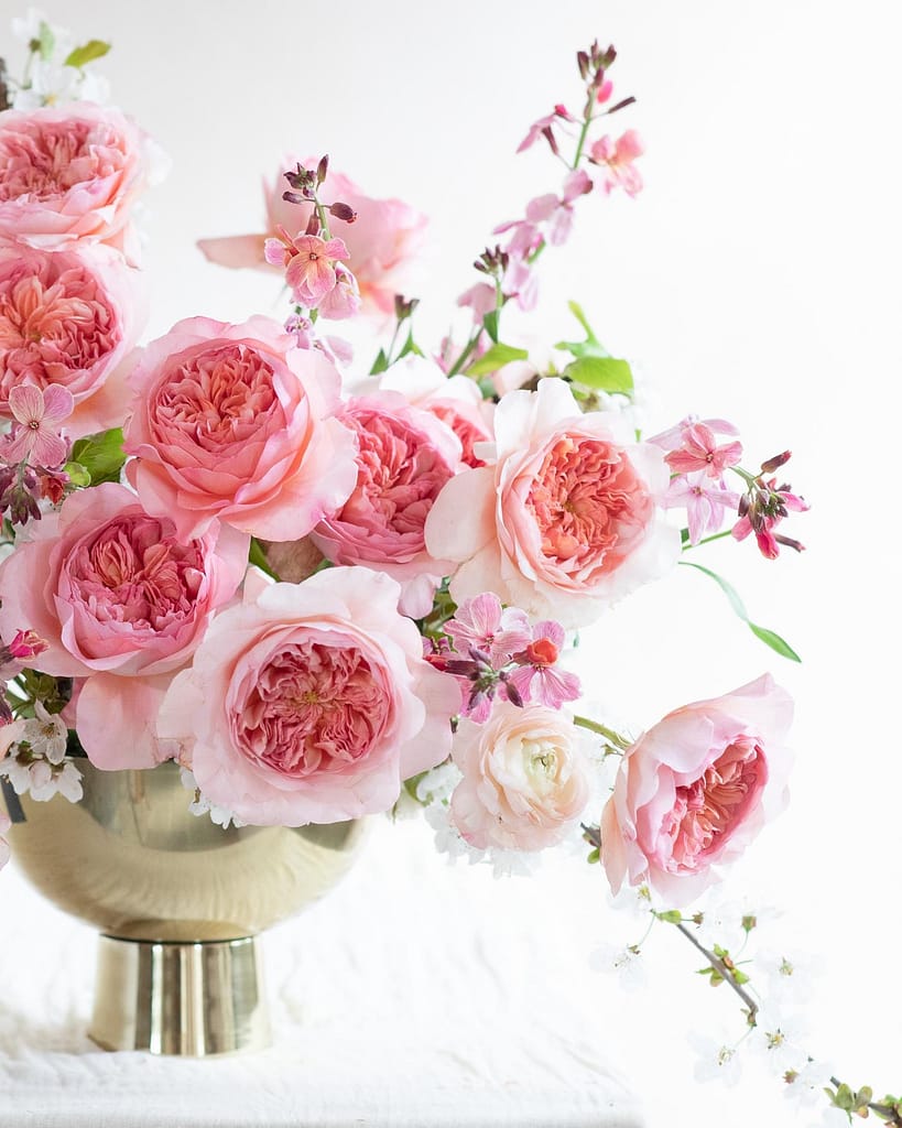 Our Roses - David Austin Wedding and Event Roses