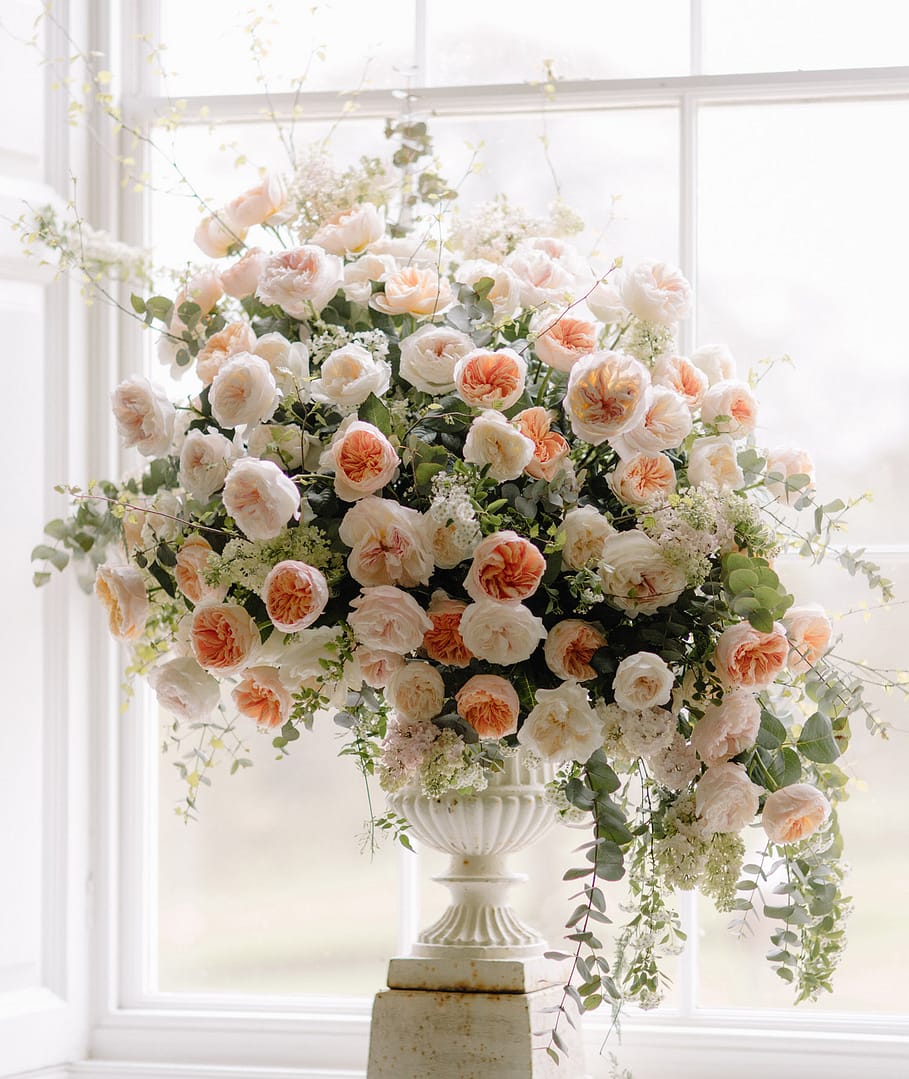 Juliet - David Austin Wedding and Event Roses