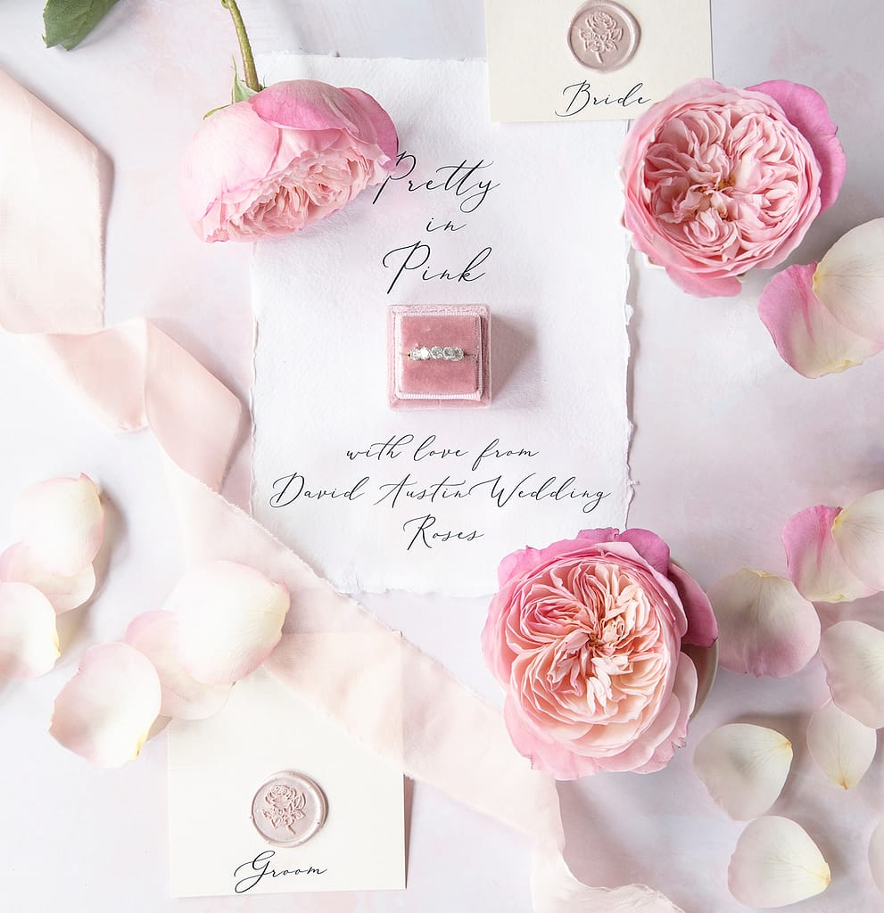 Constance - David Austin Wedding and Event Roses