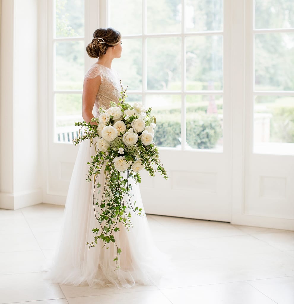 Leonora - David Austin Wedding and Event Roses