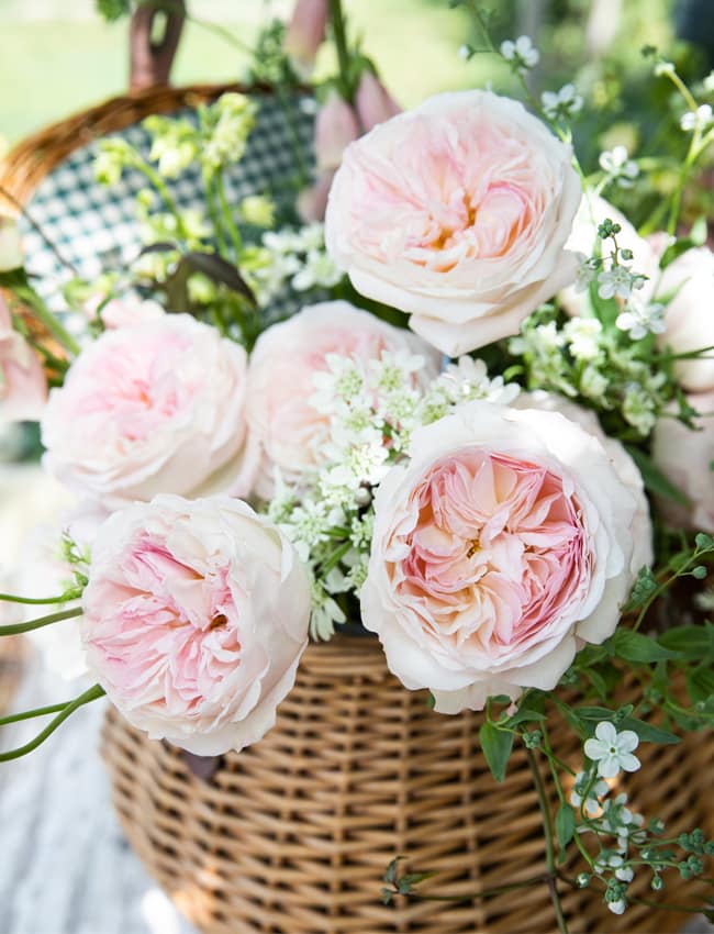 Floral Inspiration for Small and Intimate Events - David Austin Wedding ...