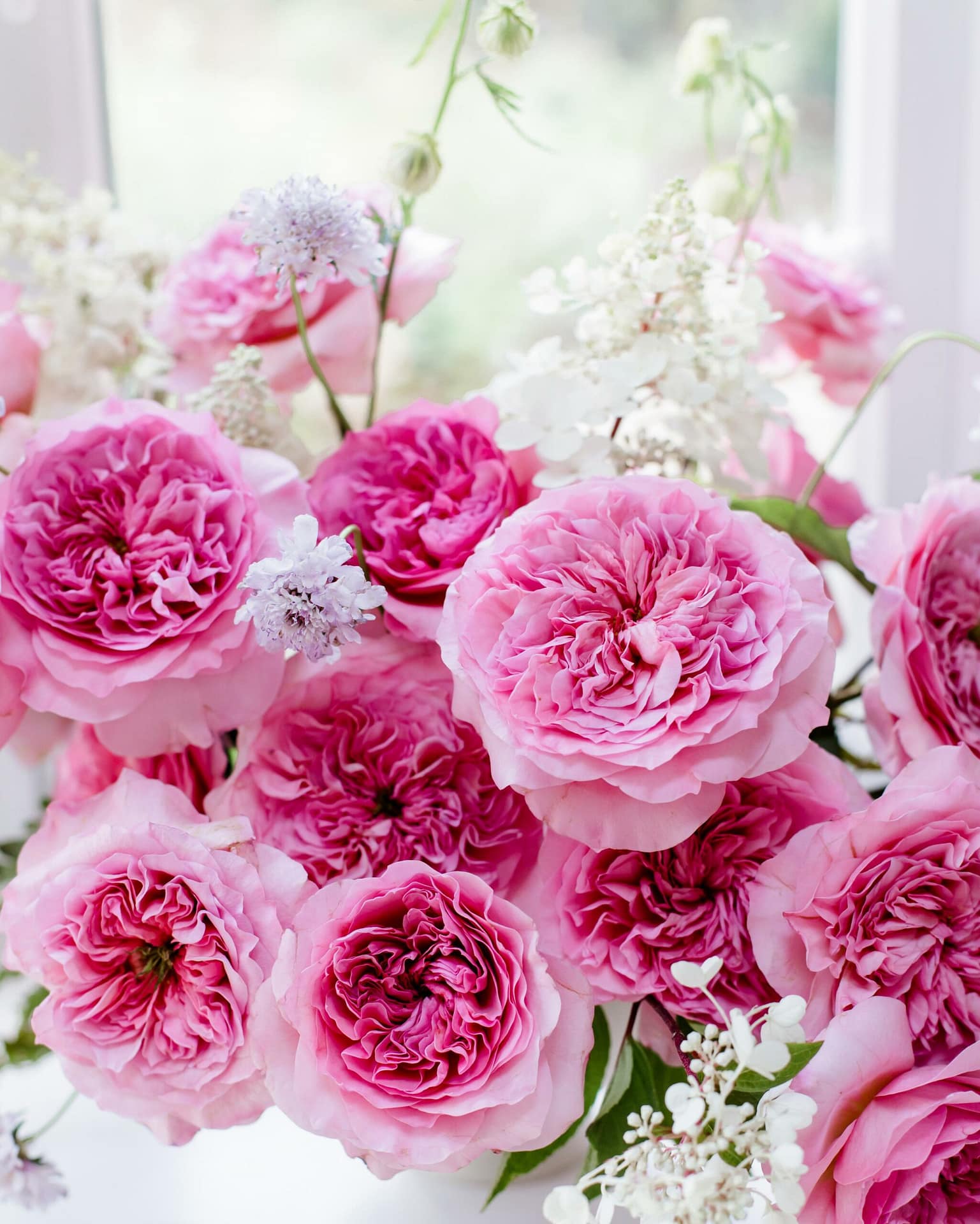 A Floral Introduction - Millicent - David Austin Wedding and Event Roses