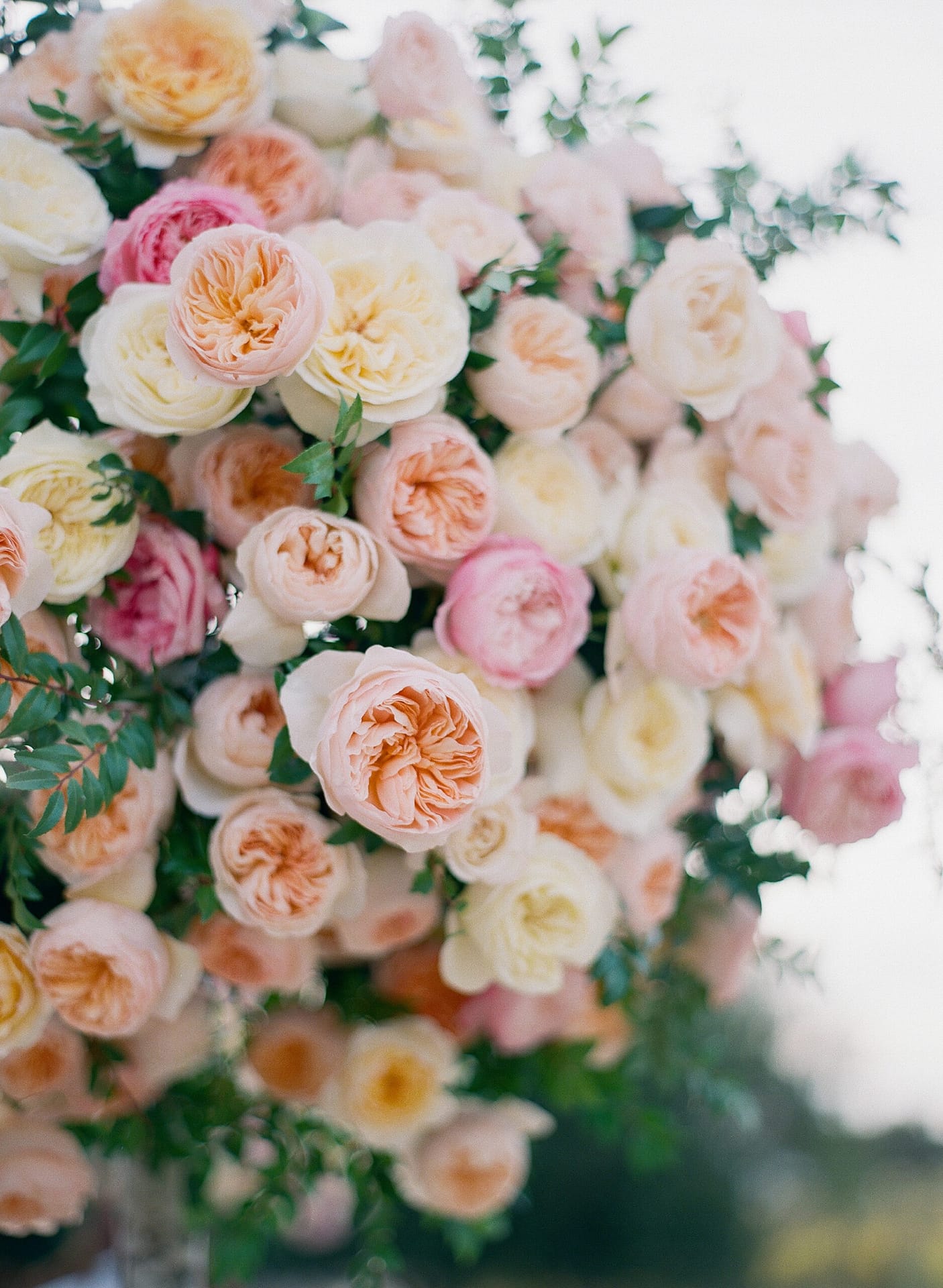 Peach and Orange Wedding Roses
